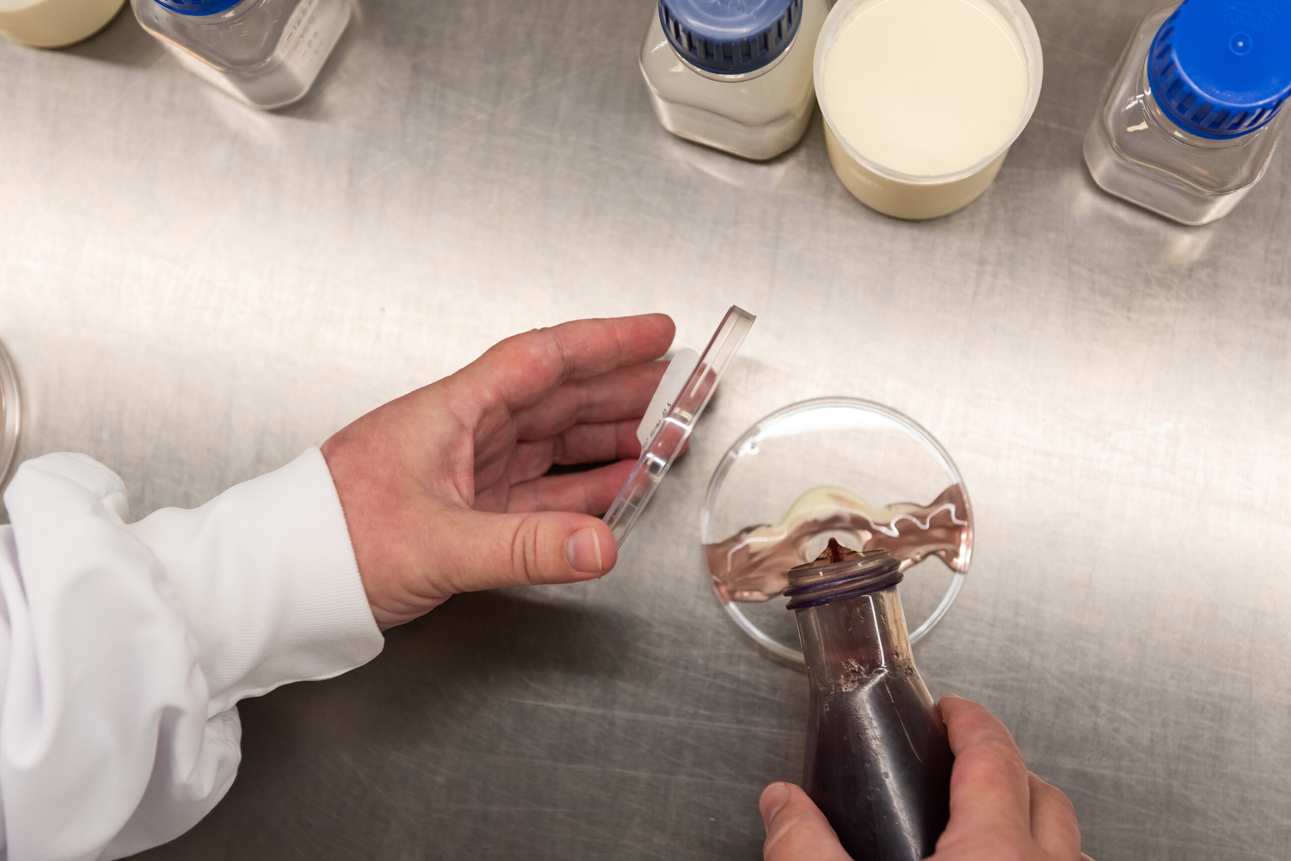 Overcoming high-protein product development challenges with Valio ...