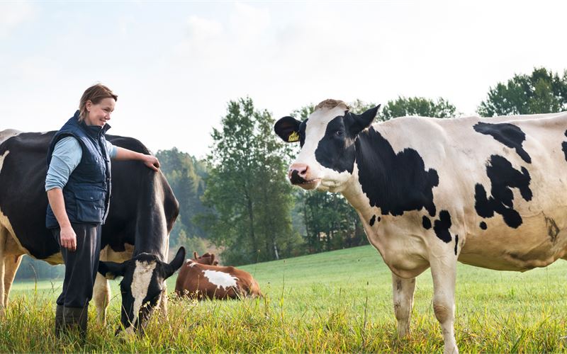 Sustainability - Valio USA